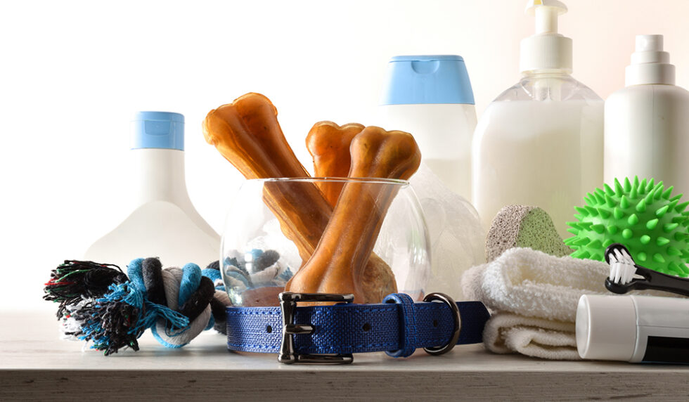 Microsoft Power Platform Consulting and Development